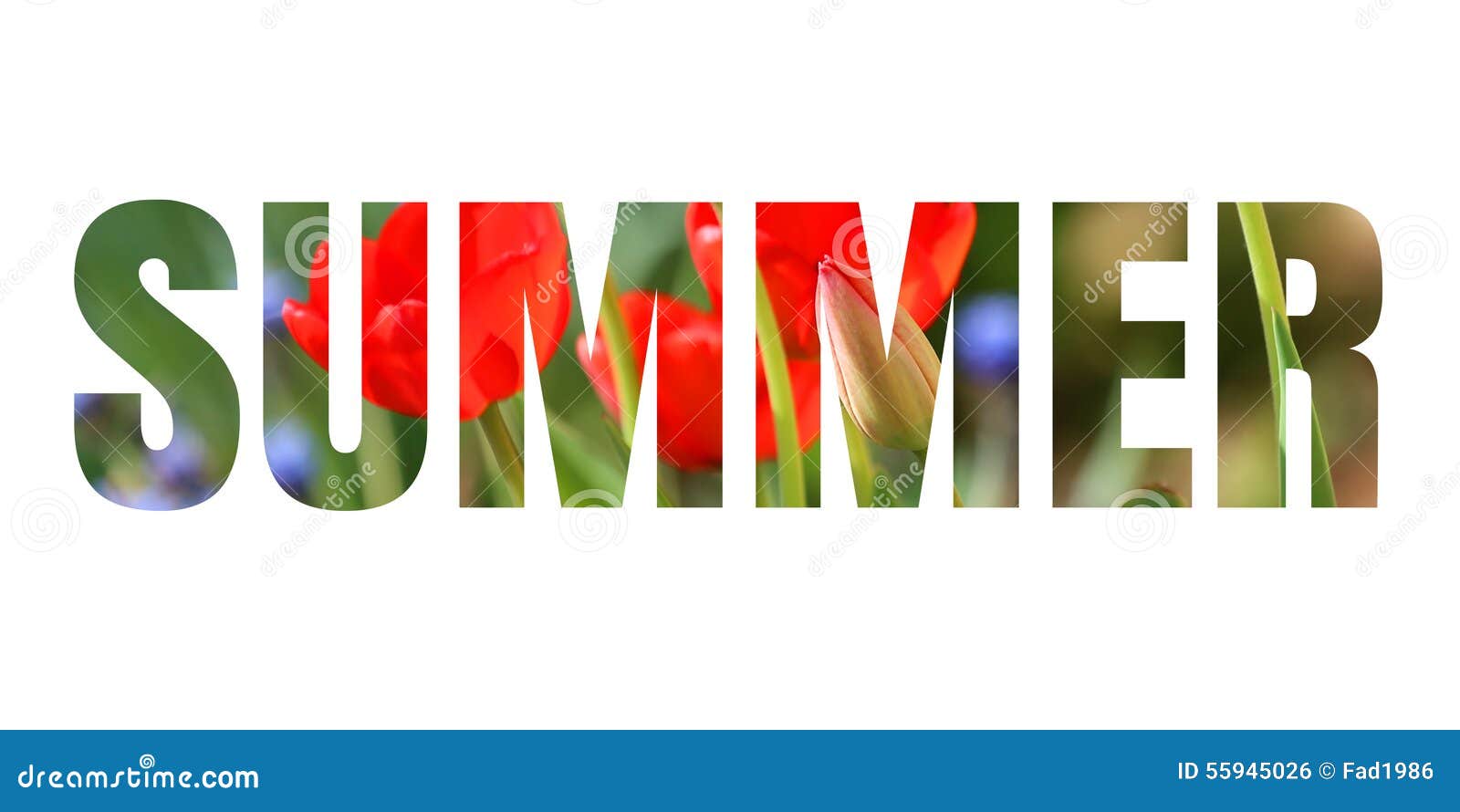 Word SUMMER stock illustration. Illustration of colorful - 55945026