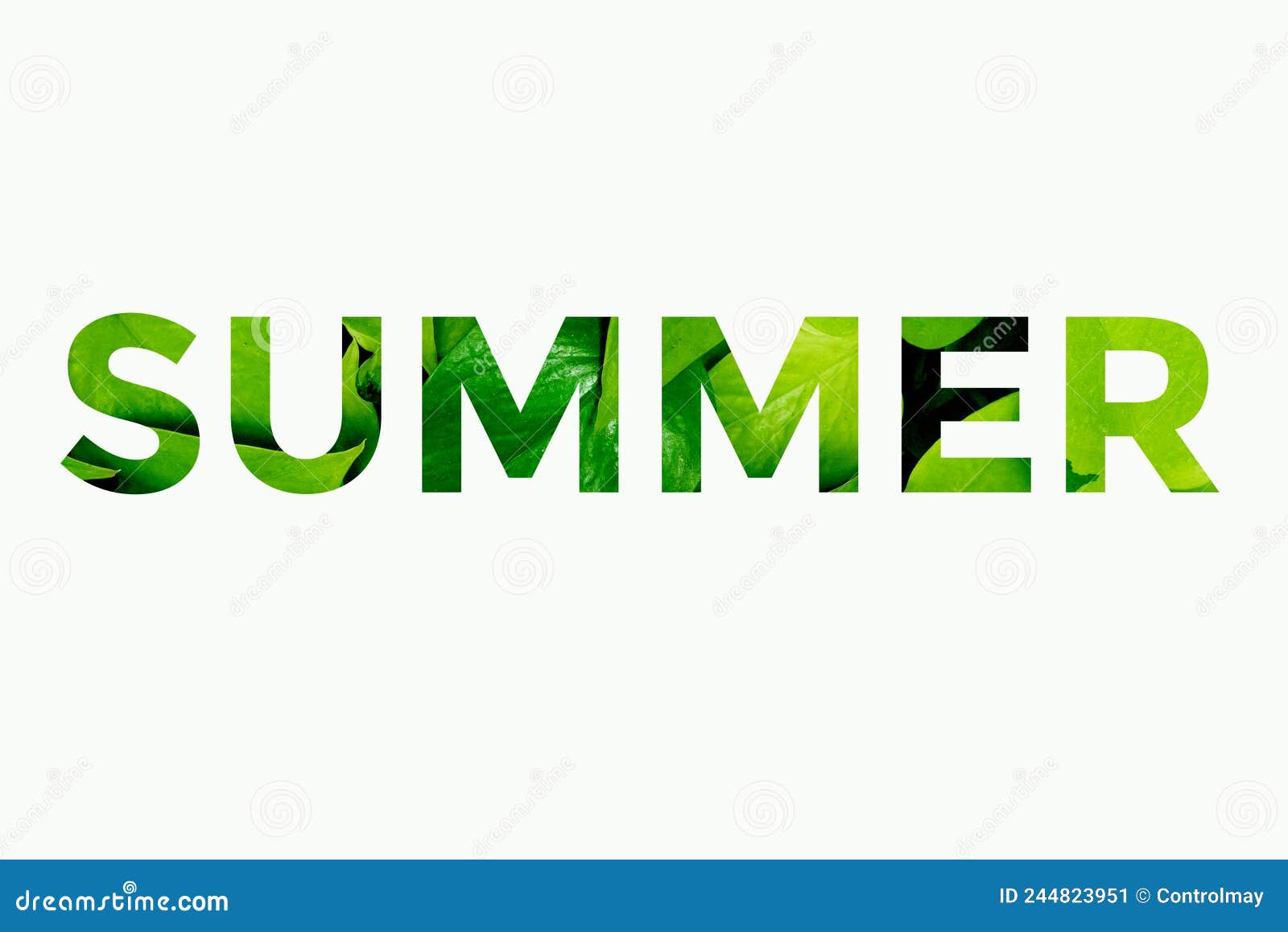 Word Summer Made from Fresh Leaves on a White Background. Summer ...