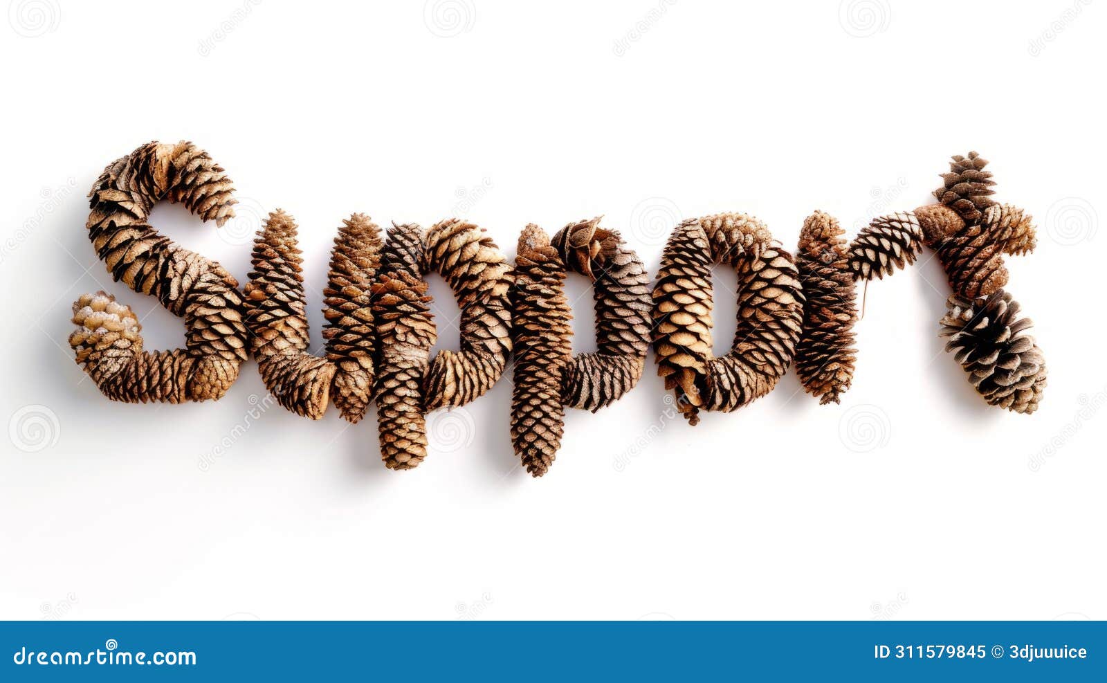 The Word Support Created in Small Pinecone Letters. Stock Illustration ...