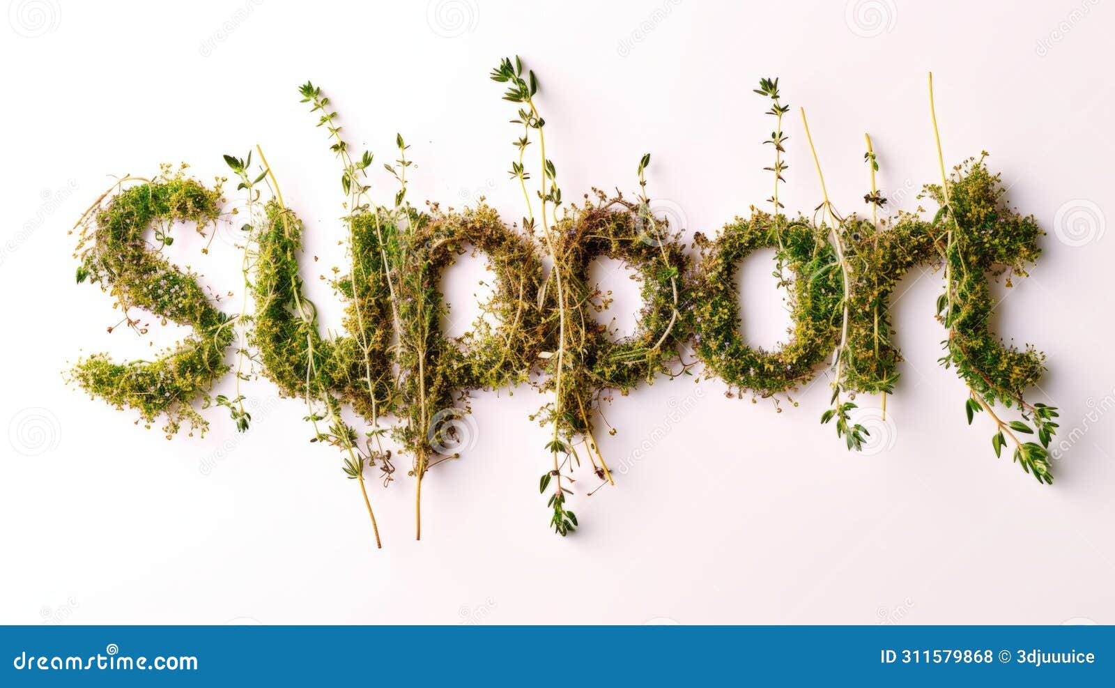 The Word Support Created in Thyme Typography. Stock Illustration ...