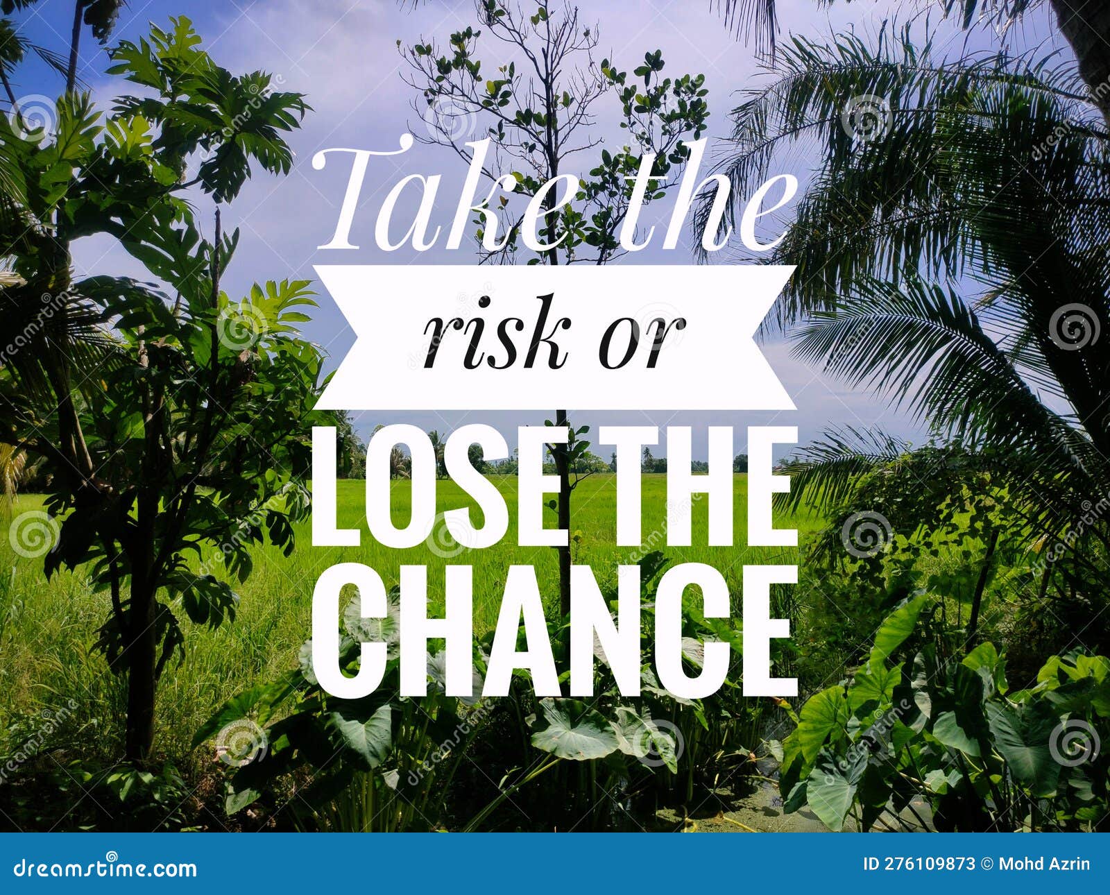 Word Take the Risk or Lose the Chance. Stock Image - Image of concept ...
