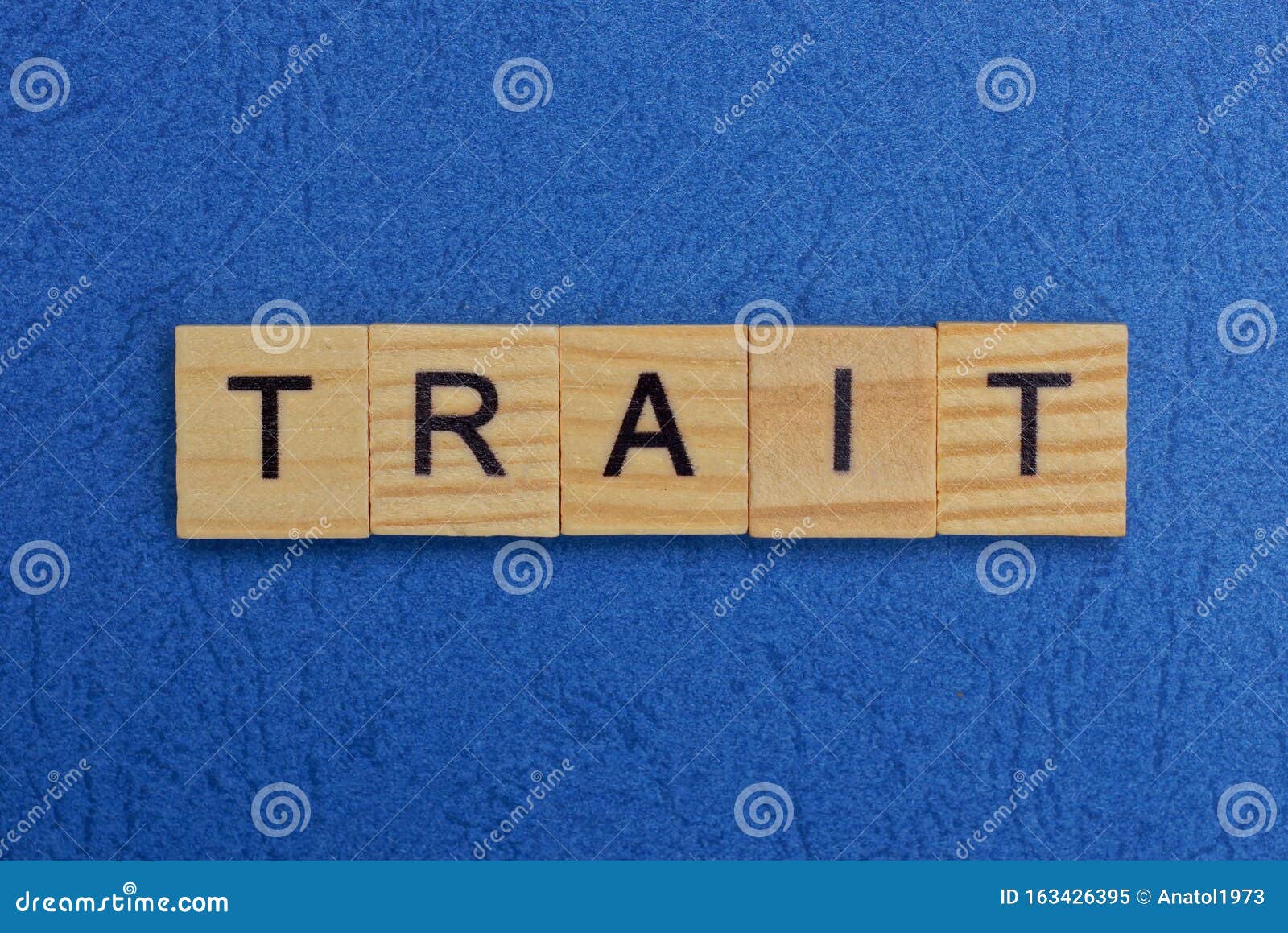 Word Trait Made of Brown Wooden Letters Stock Image - Image of type ...