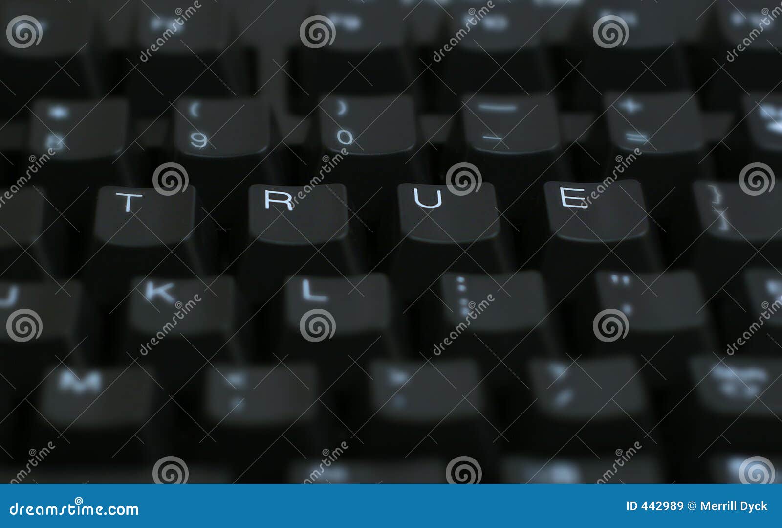 Word True on Computer stock image. Image of true, truth - 442989