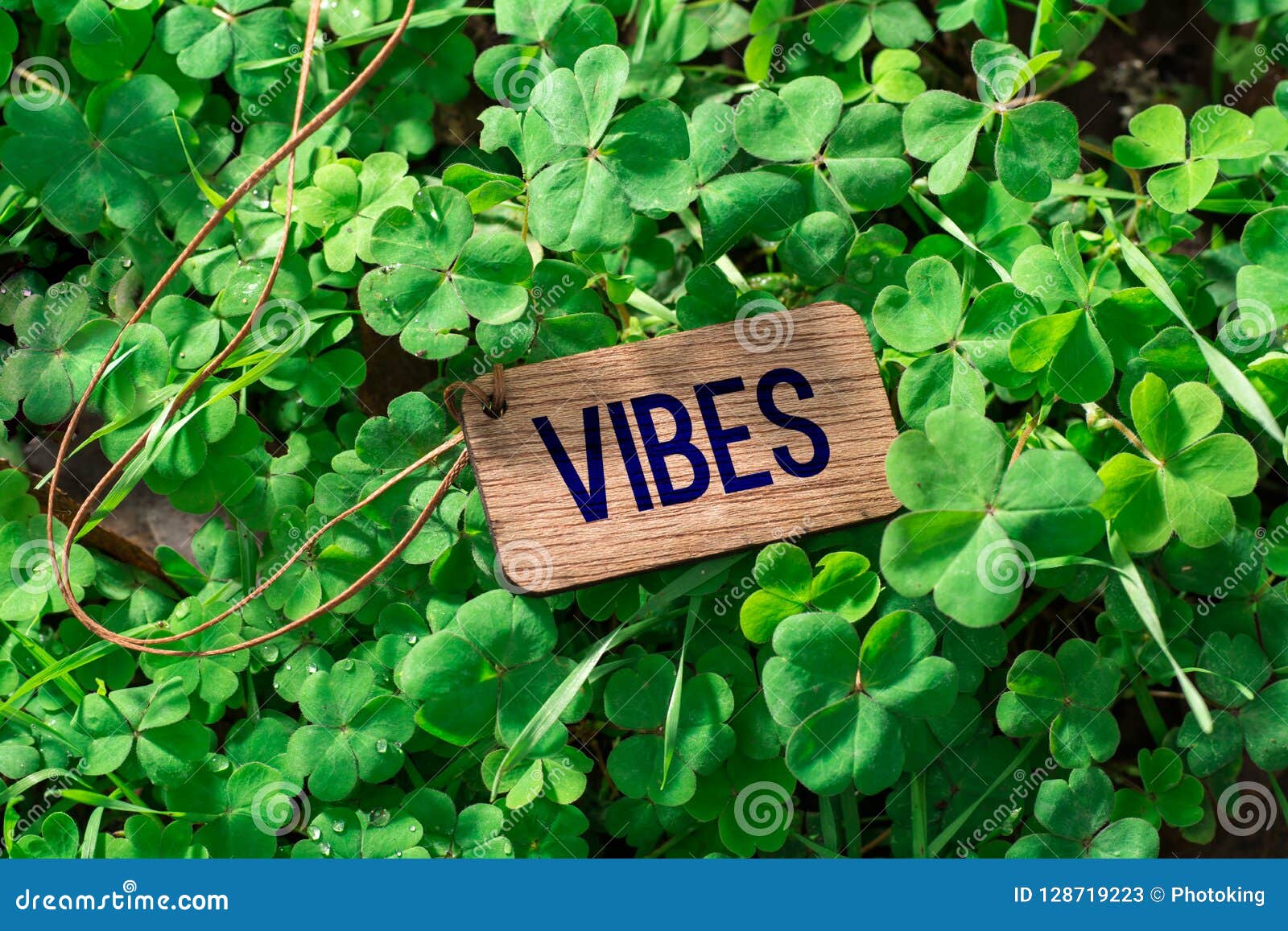 The word vibes wooden tag stock image. Image of graphic - 128719223