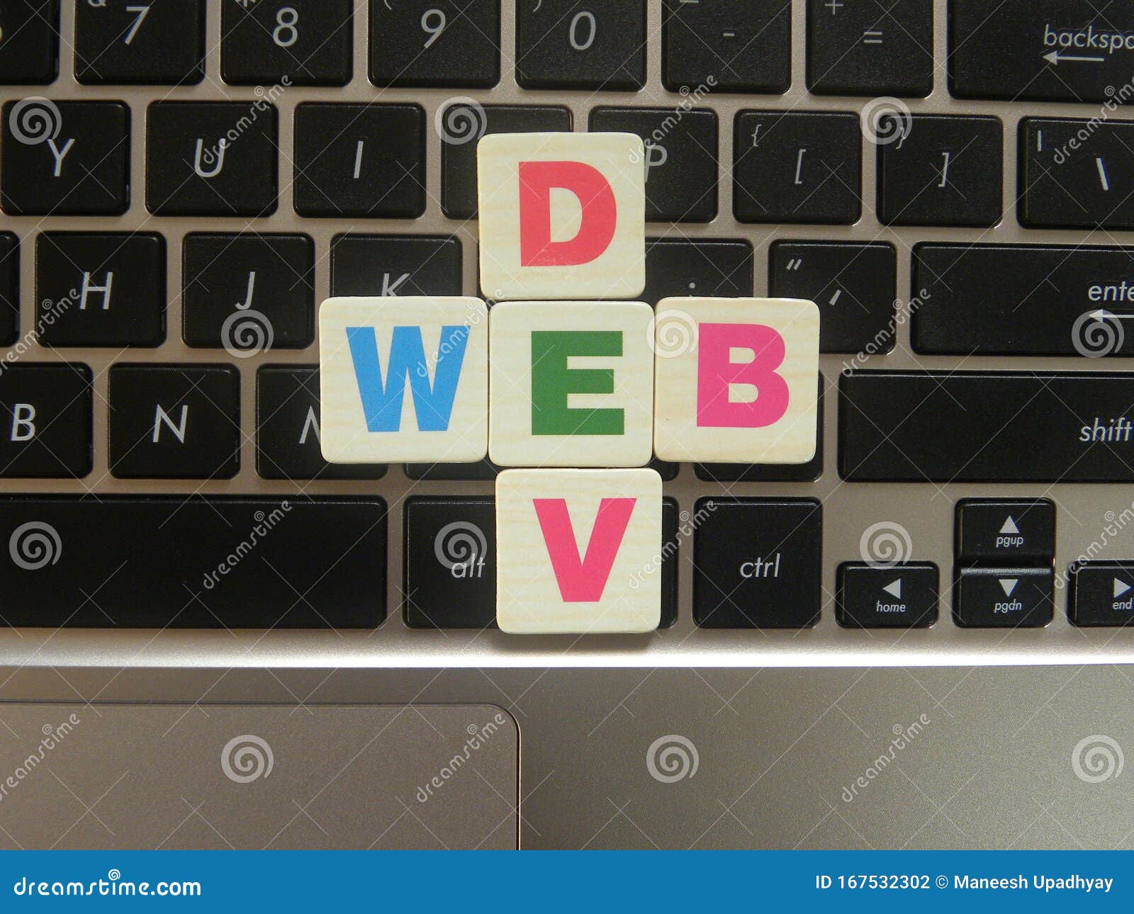 Word Web Dev stock photo. Image of designers, keywords - 167532302