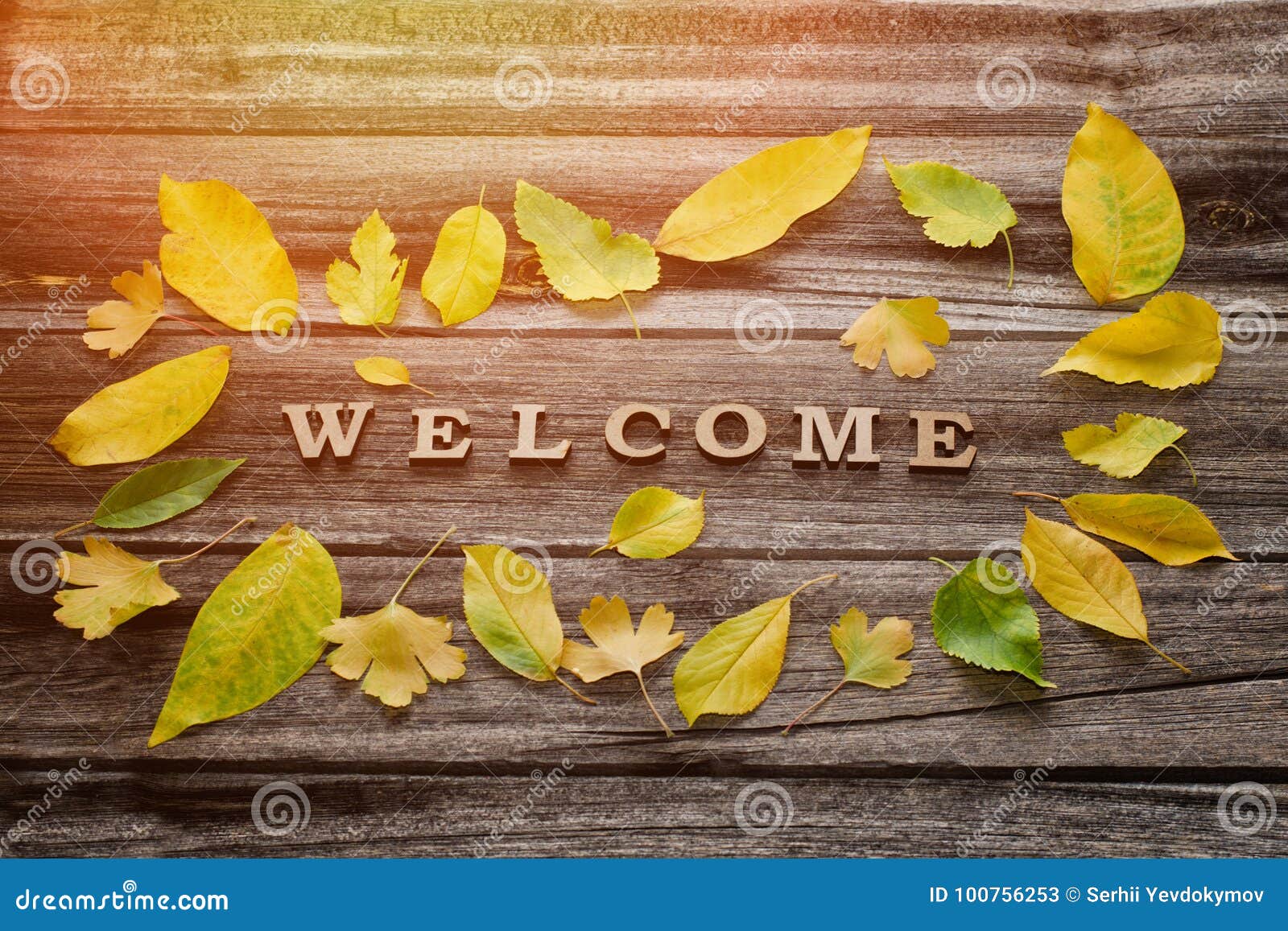 Word Welcome on a Wooden Background, Frame of Yellow Leaves Stock Image ...