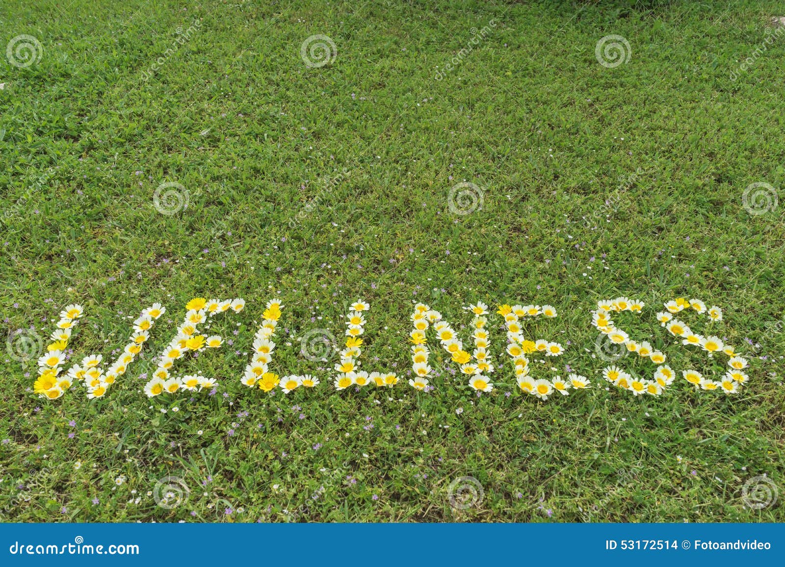 Word WELLNESS Written with Blossoms Stock Photo - Image of wellness ...