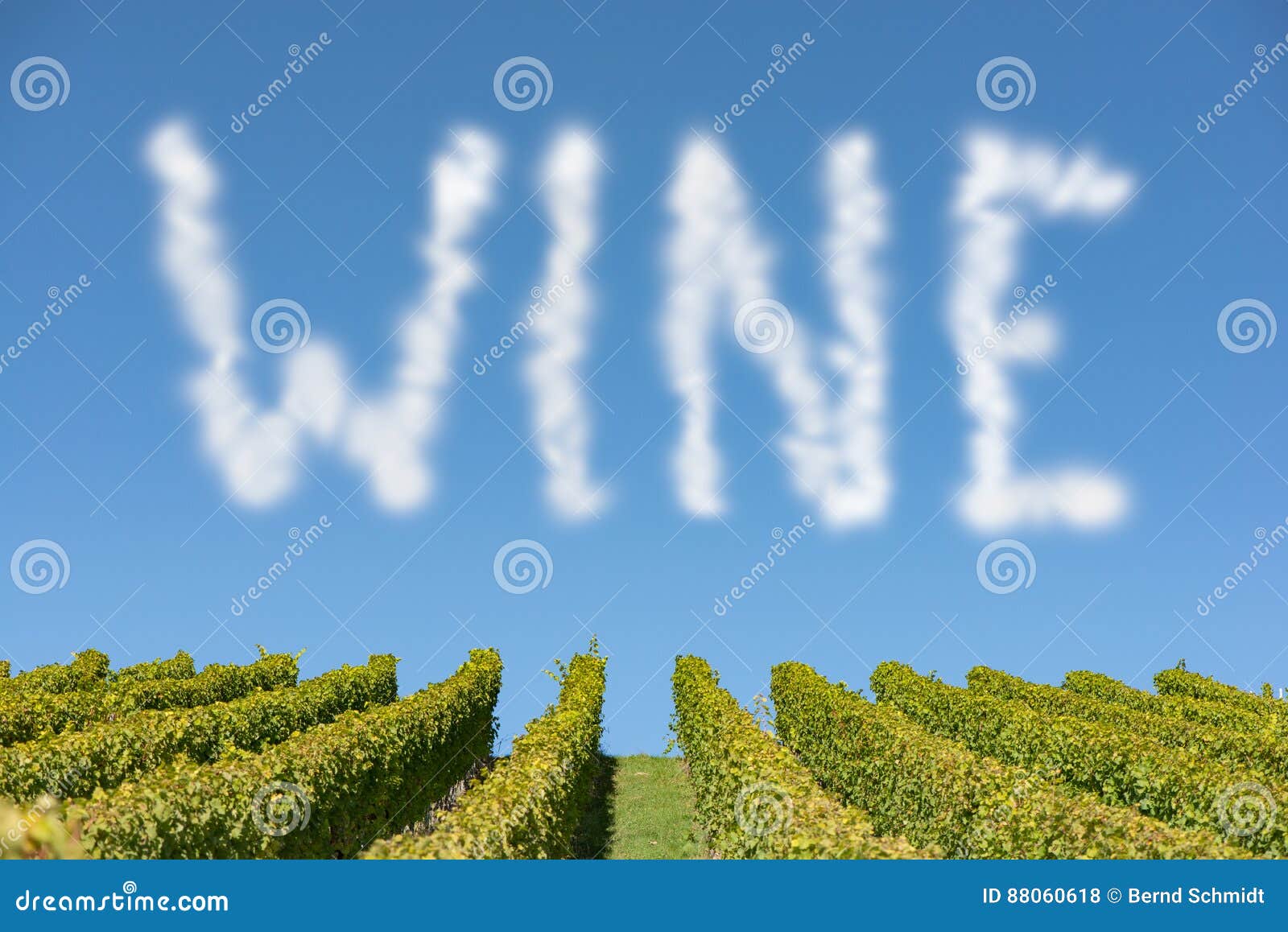 Word Wine As Cloud at a Blue Sky Stock Photo - Image of green, leaves ...