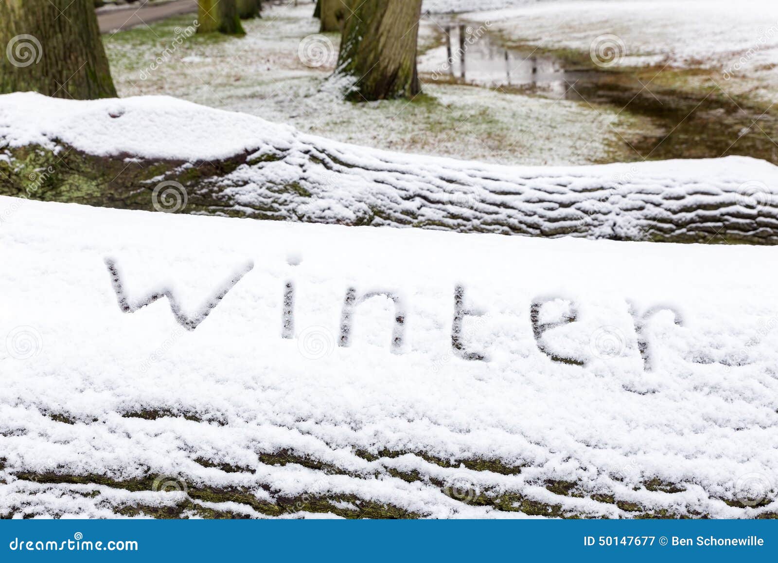 Word Winter Written in Snow on Oak Tree Trunk Stock Image - Image of ...