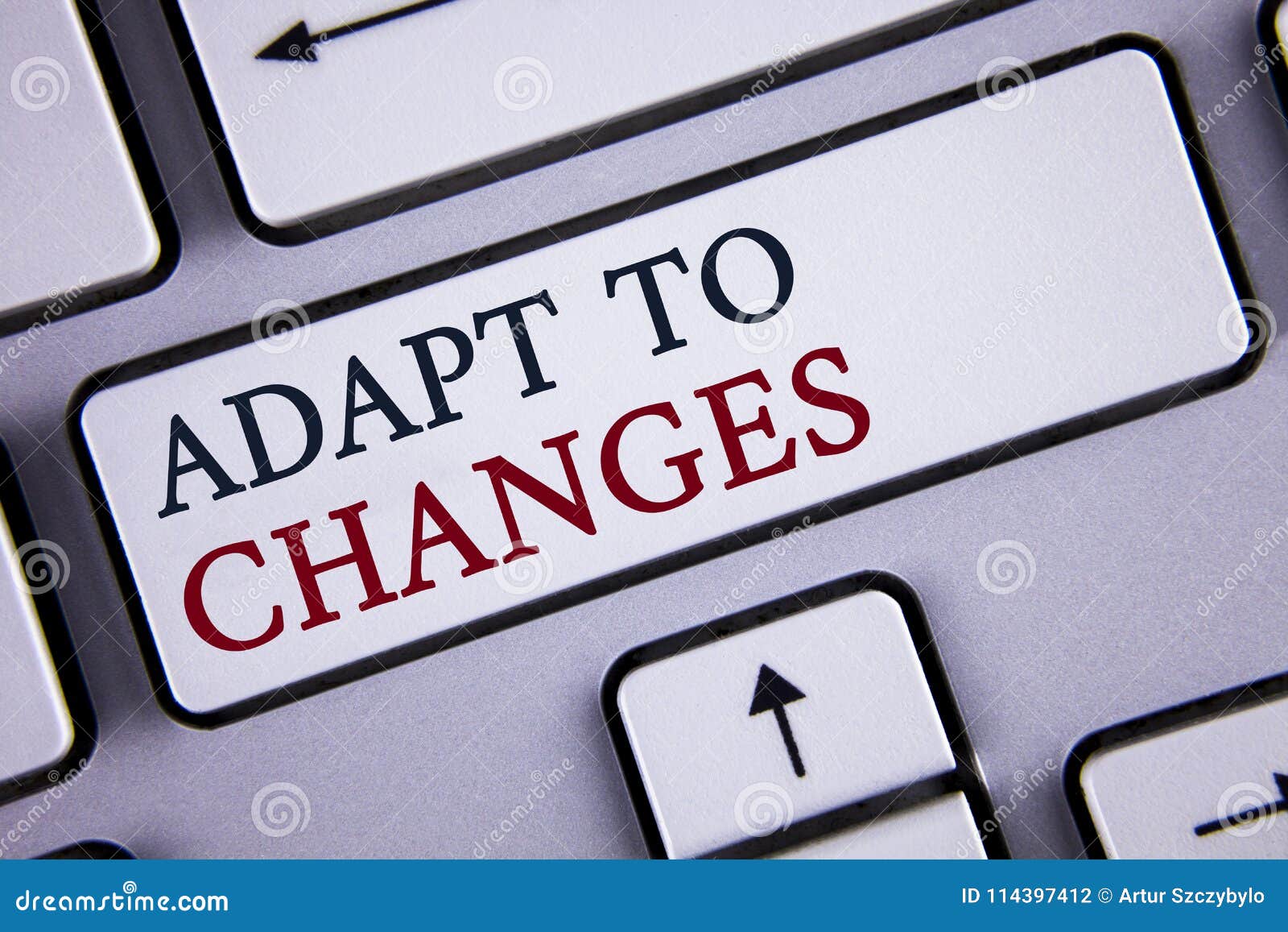 Word Writing Text Adapt To Changes. Business Concept for Innovative ...