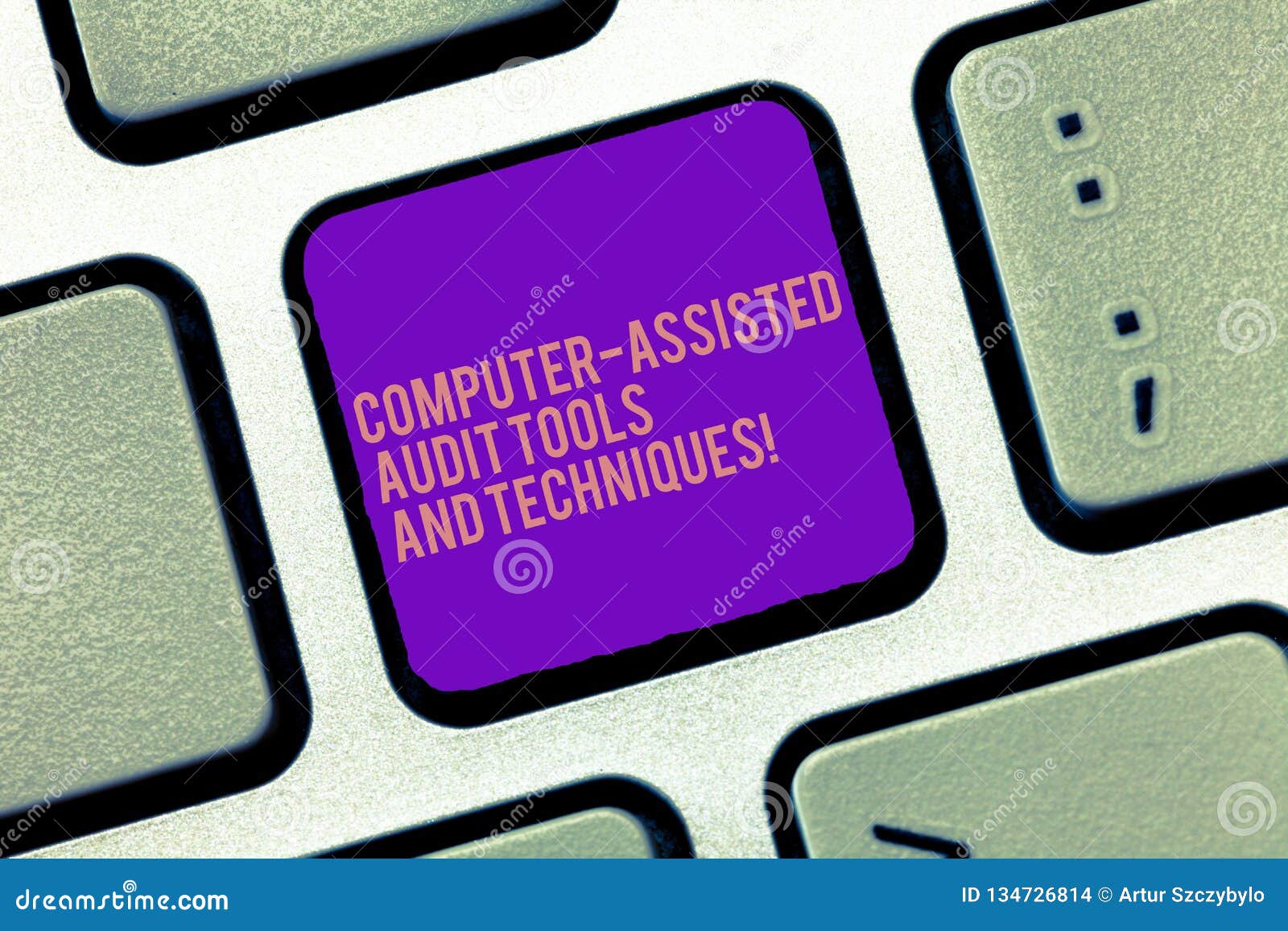 Word Writing Text Computer Assisted Audit Tools and Techniques ... Word Writing Text Computer Assisted Audit Tools and Techniques ...