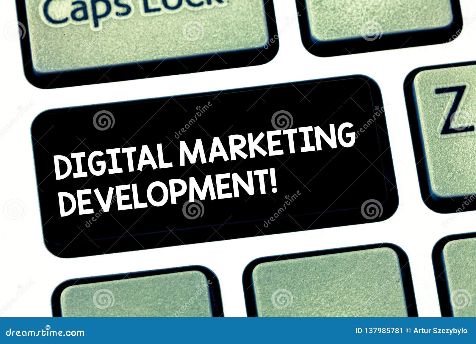 Word Writing Text Digital Marketing Development. Business Concept for ...