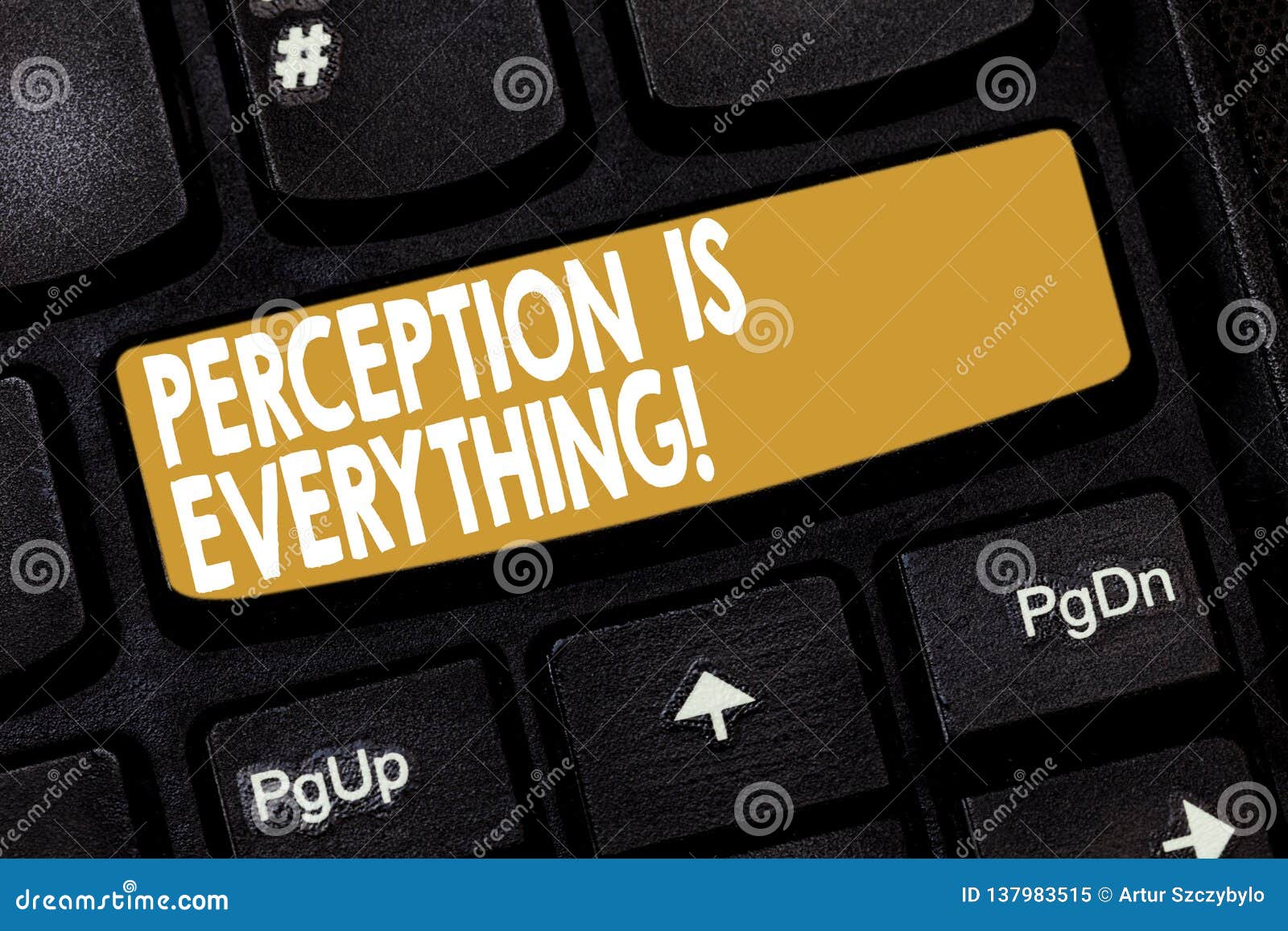 Word Writing Text Perception is Everything. Business Concept for How we ...
