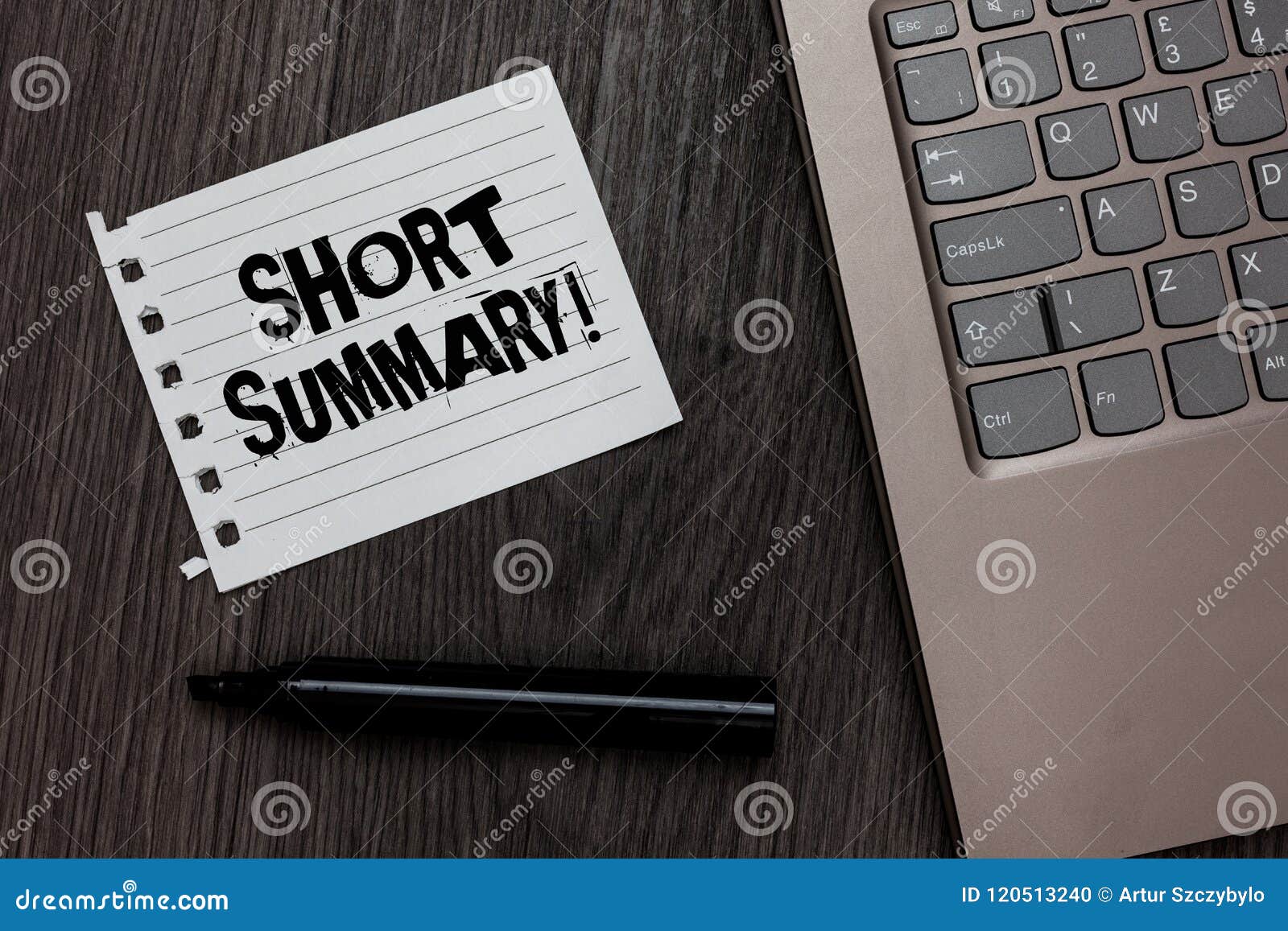 Short Summary Review Brief Information Business Outline Concise Memo ...
