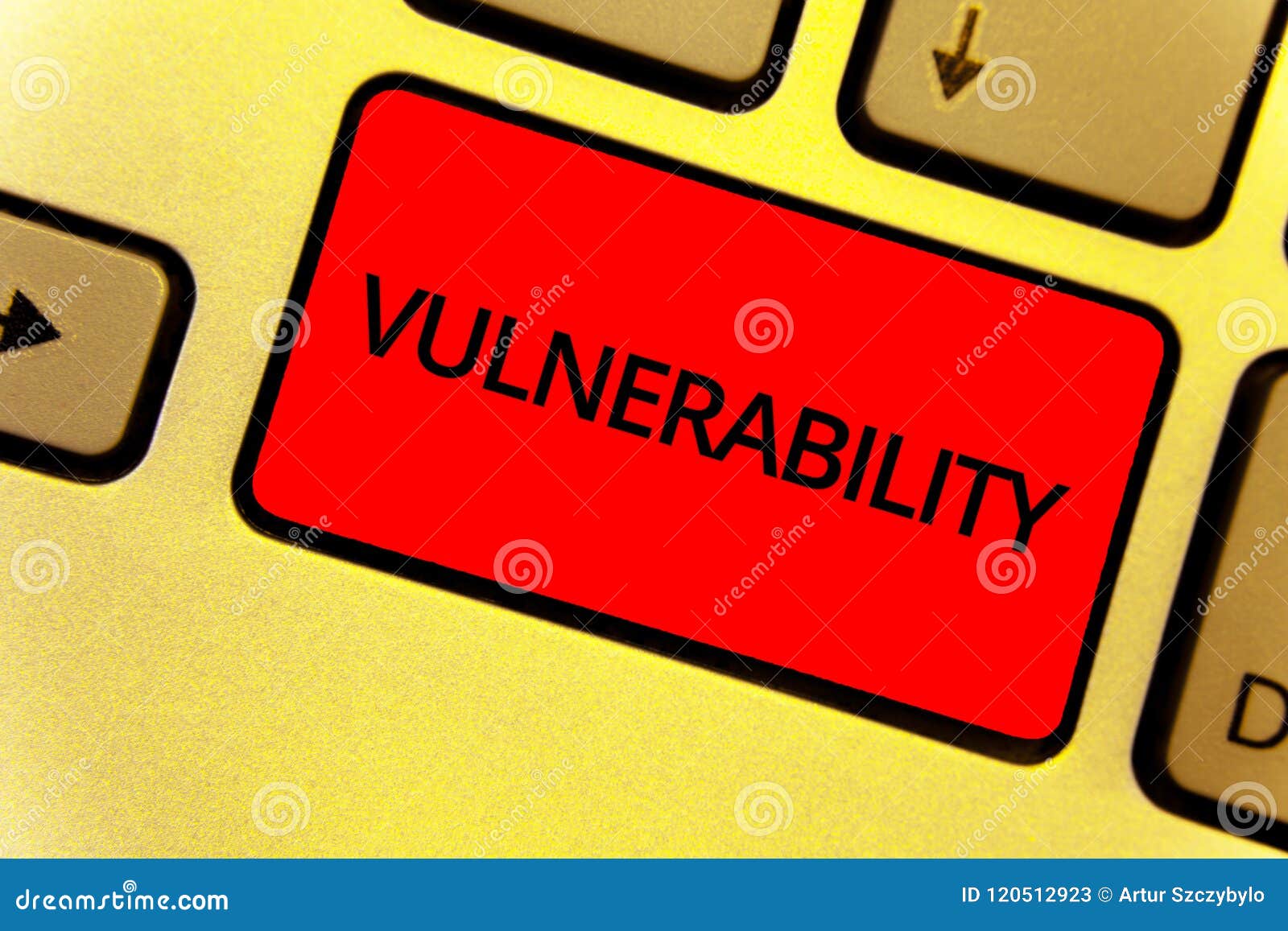 Word Writing Text Vulnerability. Business Concept for Information ...