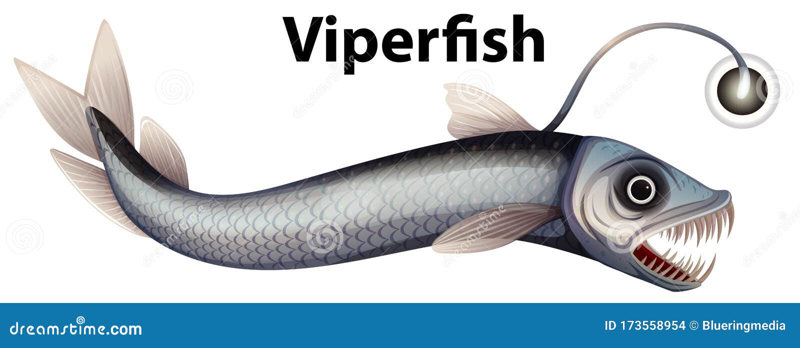 Viperfish Cartoons, Illustrations & Vector Stock Images - 15 Pictures ...