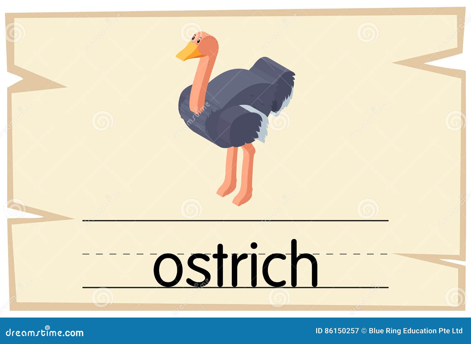 Wordcard Template for Ostrich Stock Vector - Illustration of clipart ...