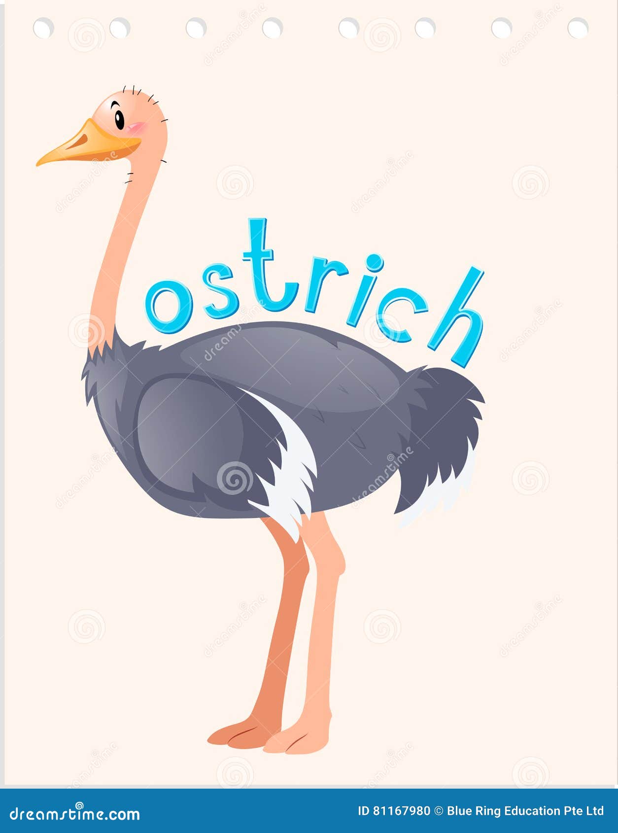 Animal Wordcard With Hippopotamus Cartoon Vector | CartoonDealer.com ...