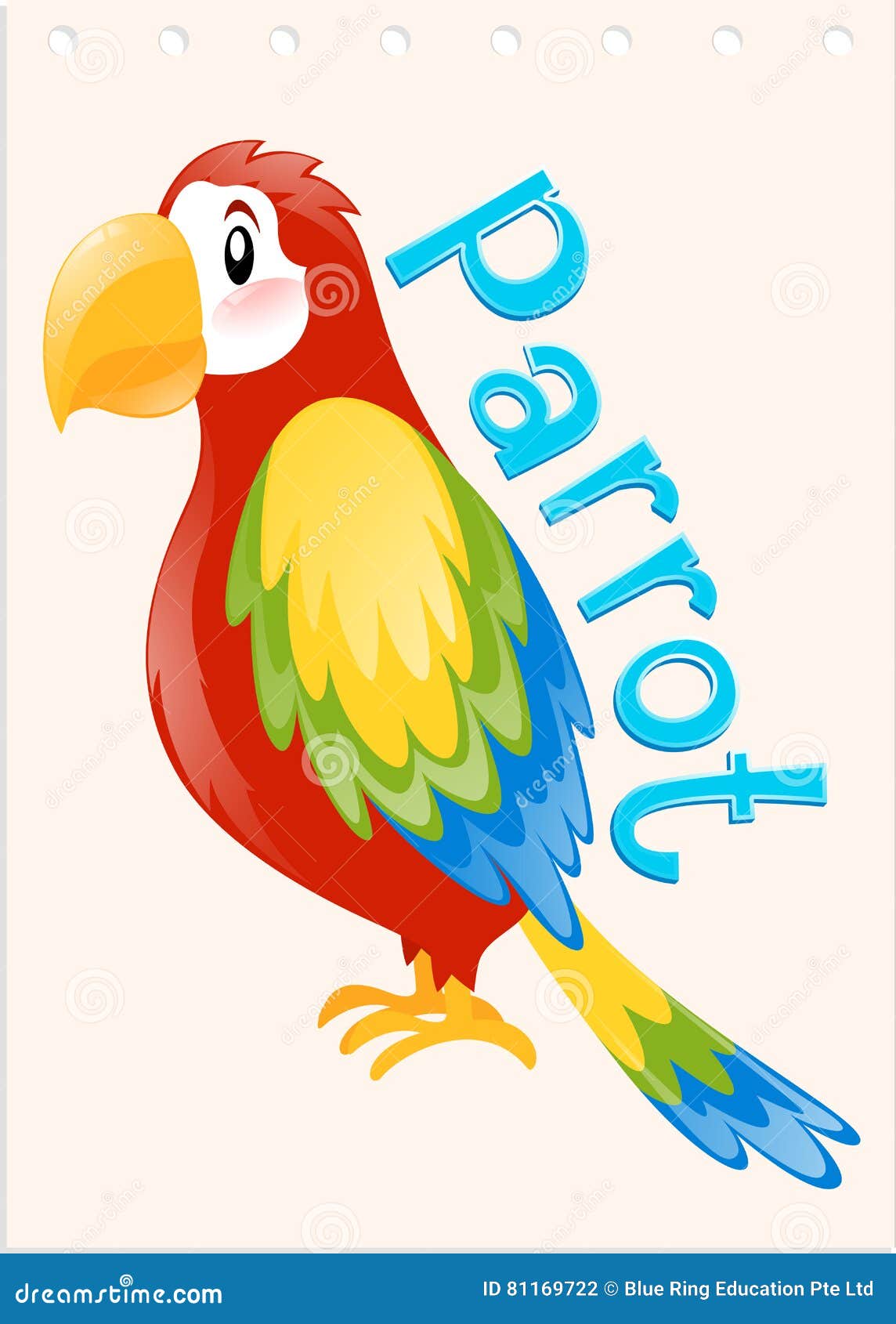 Wordcard with Word and Picture Parrot Stock Vector - Illustration of ...