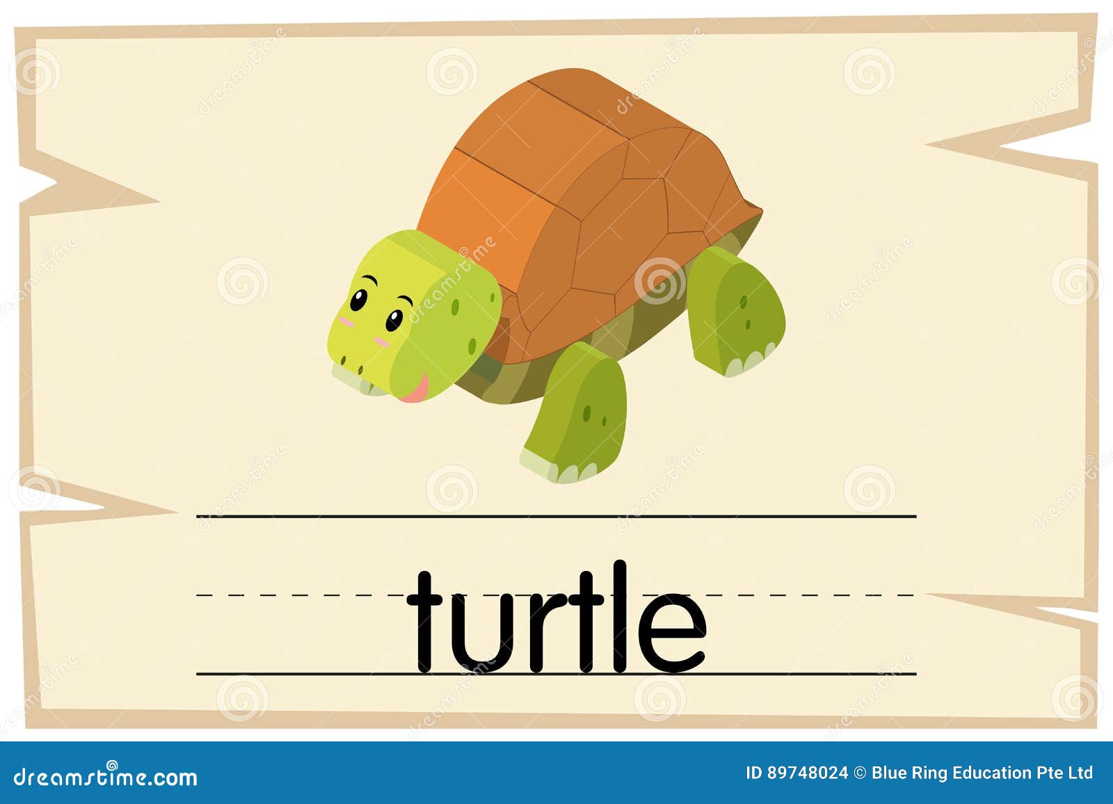 Wordcard with word turtle stock vector. Illustration of spell - 89748024