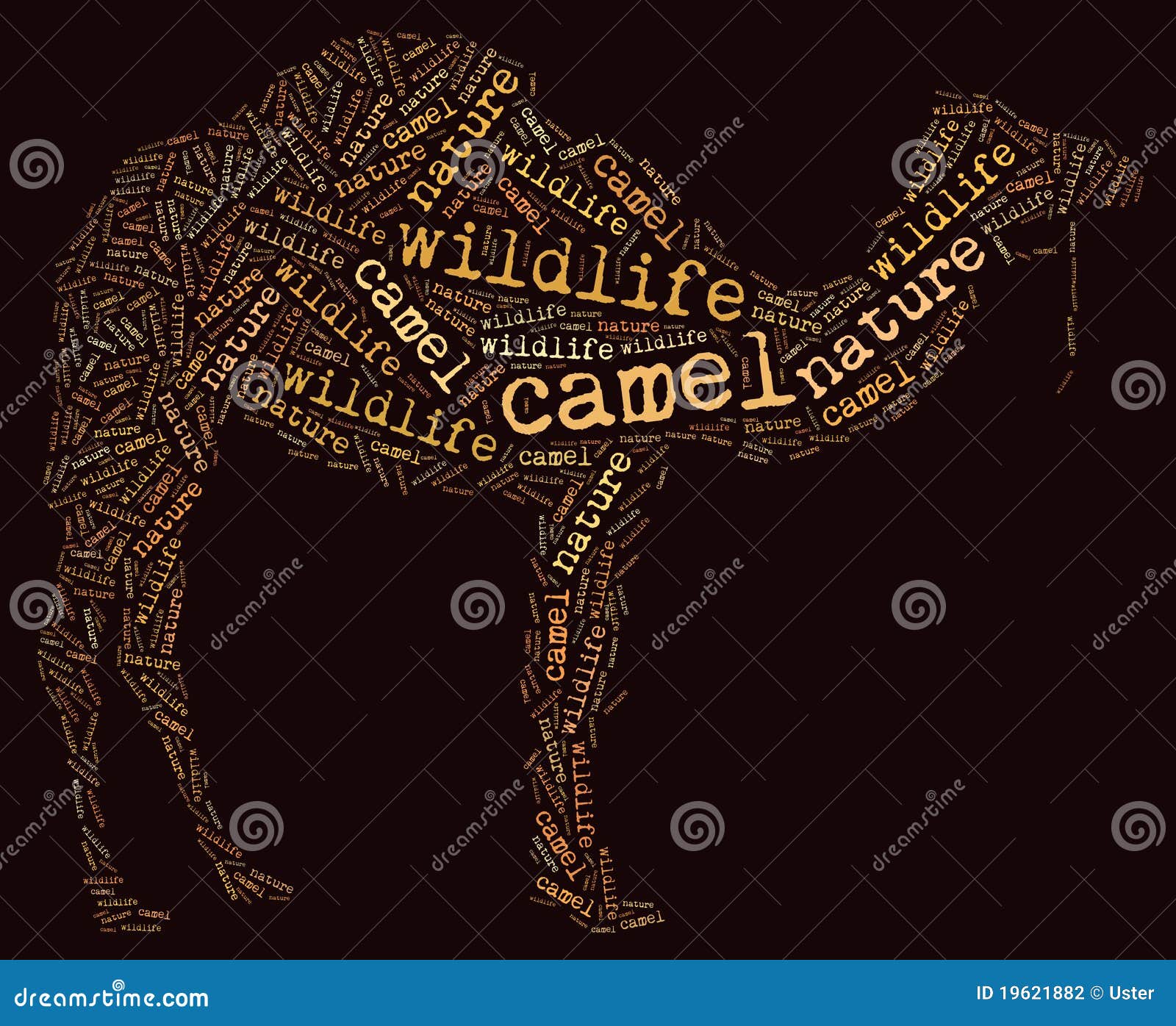 Wordcloud of camel stock illustration. Illustration of texture - 19621882