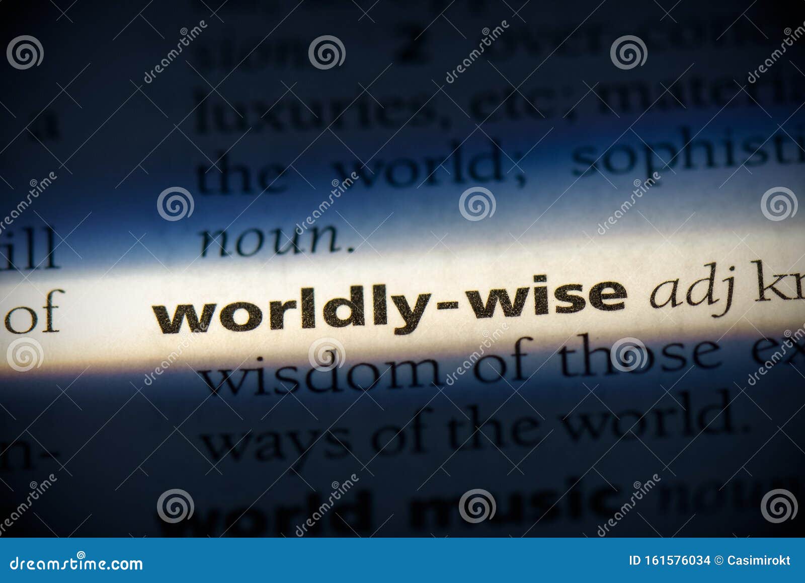 Wordly-wise stock photo. Image of dictionary, education - 161576034