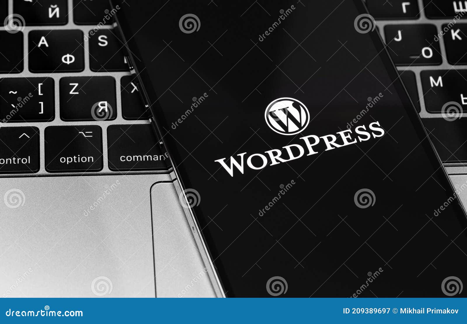 WordPress App Logo on the Screen Editorial Photography - Image of ...
