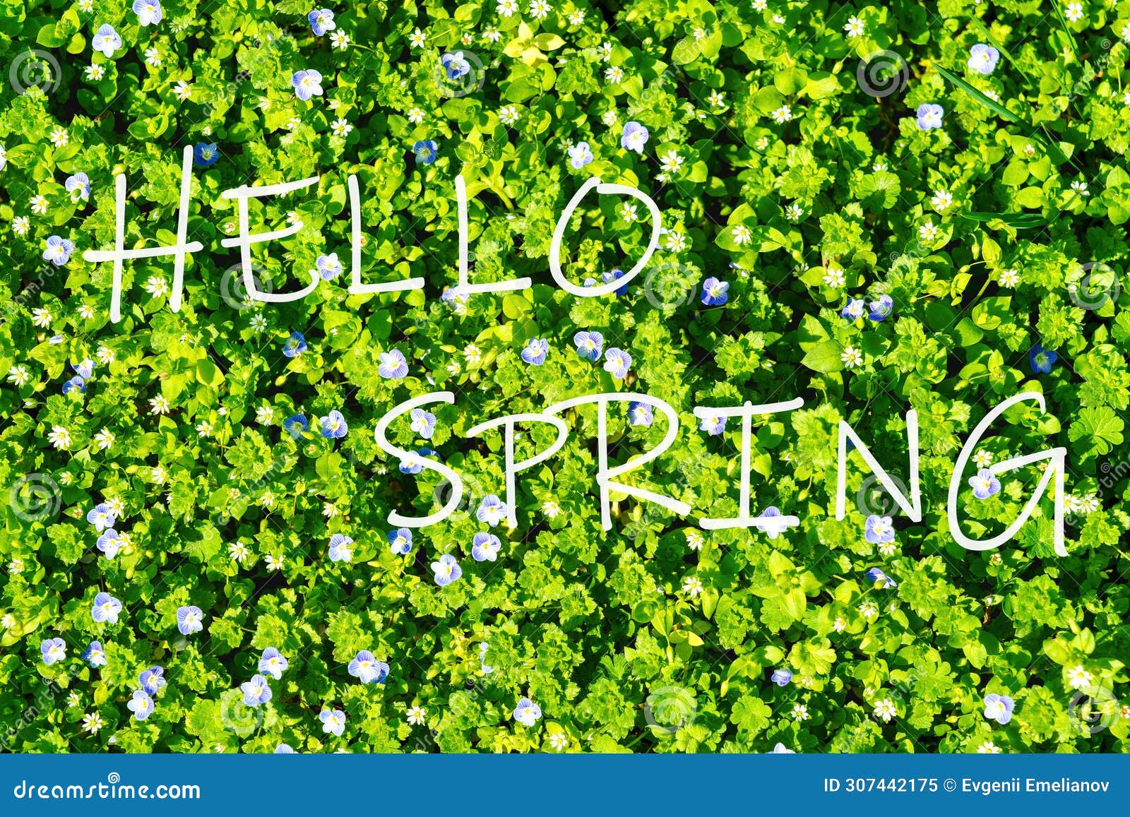 The Words Hello Spring on the Background of Green Leaves and Flowers ...