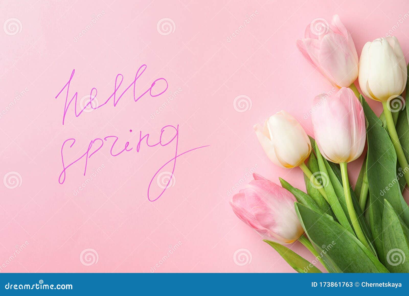 Words HELLO SPRING and Fresh Tulip Flowers on Pink Background, Flat Lay ...