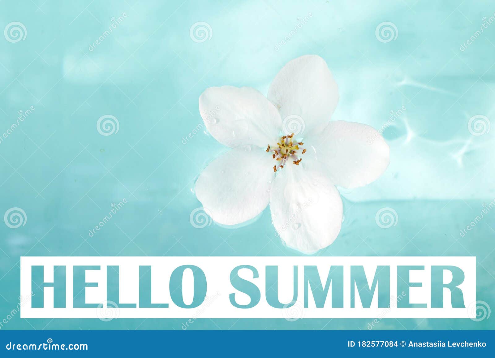 Words Hello Summer with White Flower on Blue Water Background Stock ...