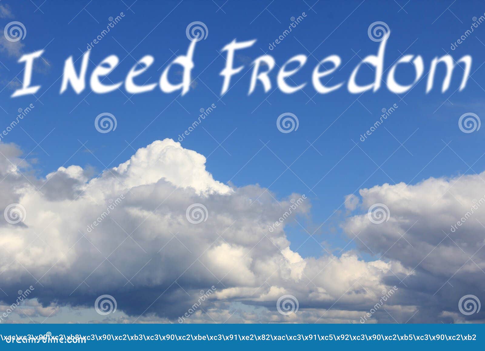 Freedom in sky stock photo. Image of idilic, space, text - 123710960