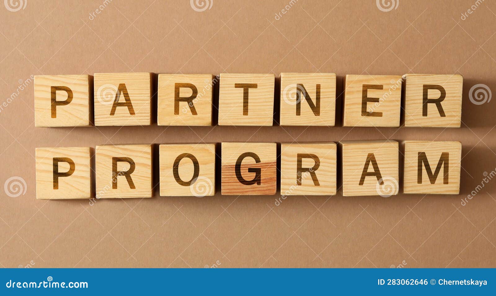 Words Partner Program Made of Wooden Cubes with Letters on Beige ...