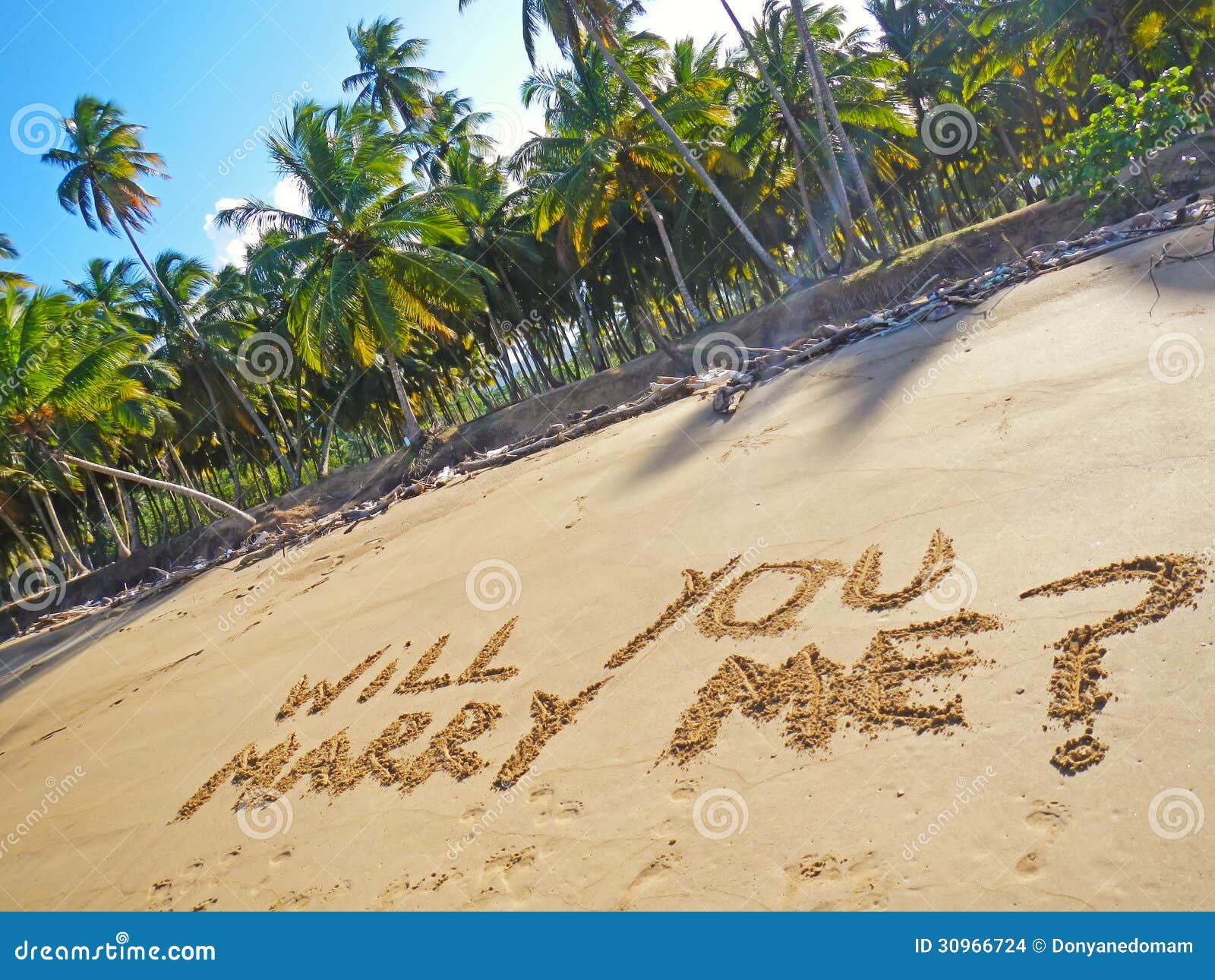 Words Will you marry me stock photo. Image of proposal - 30966724