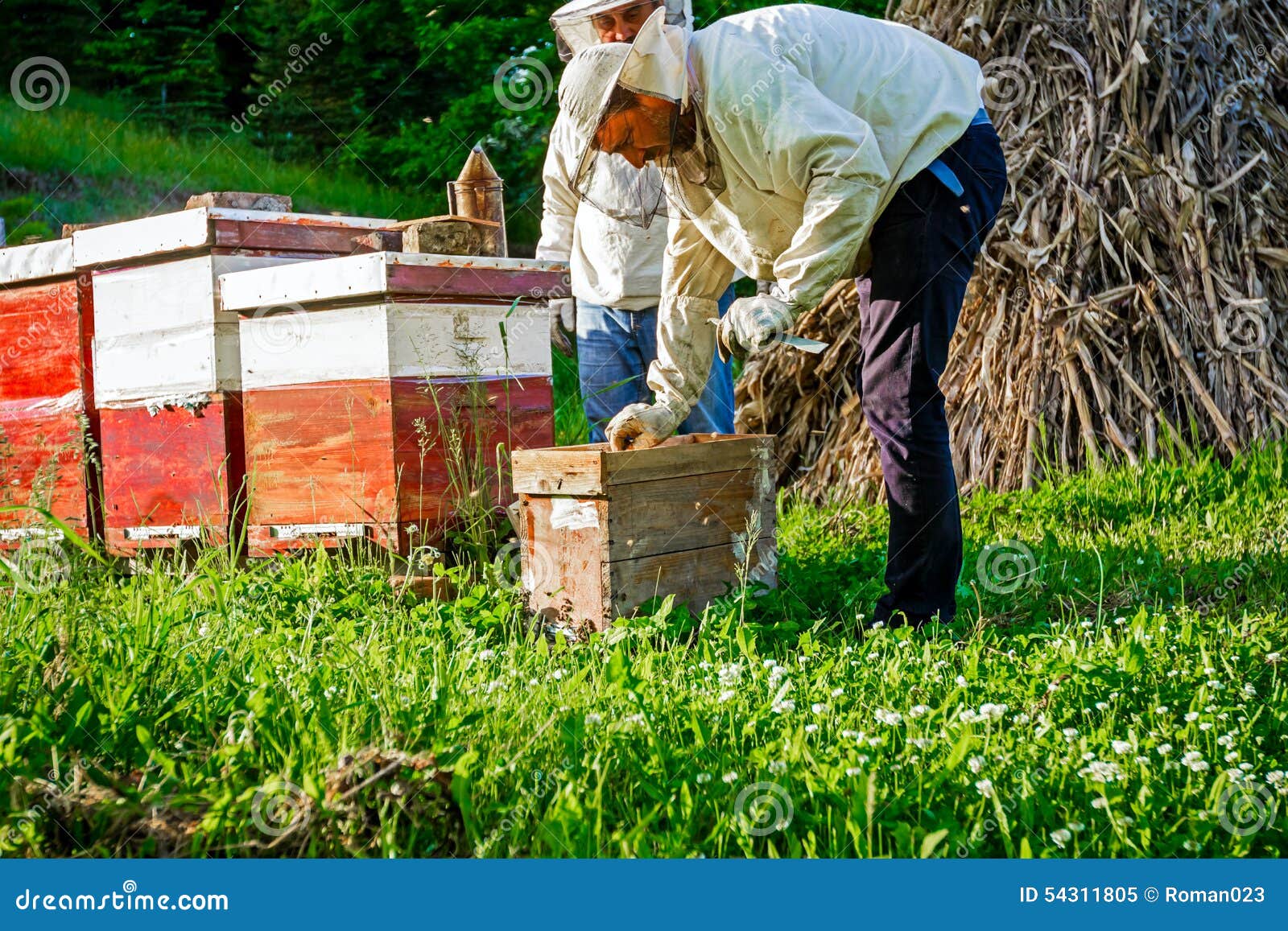 Work in apiary stock image. Image of colony, overalls - 54311805