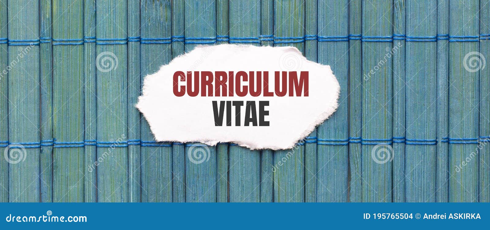 WORK CURRICULUM VITAE Text on the Piece of Paper on the Green Wood ...