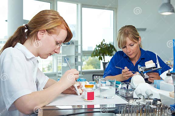 Work in a Dental Laboratory Stock Photo - Image of layer, crown: 11766706