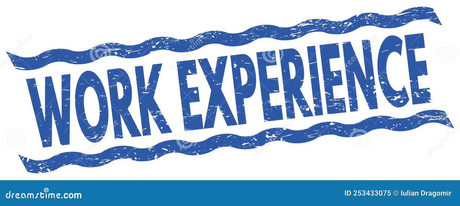 WORK EXPERIENCE Text on Blue Lines Stamp Sign Stock Illustration ...