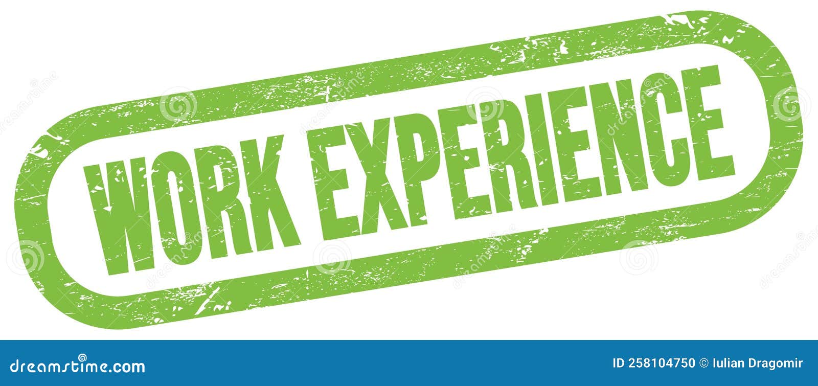 WORK EXPERIENCE, Text Written on Green Stamp Sign Stock Photo - Image ...