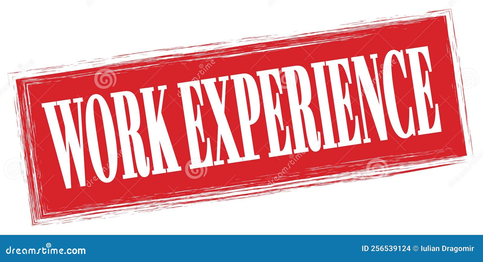 WORK EXPERIENCE Text Written on Red Stamp Sign Stock Illustration ...