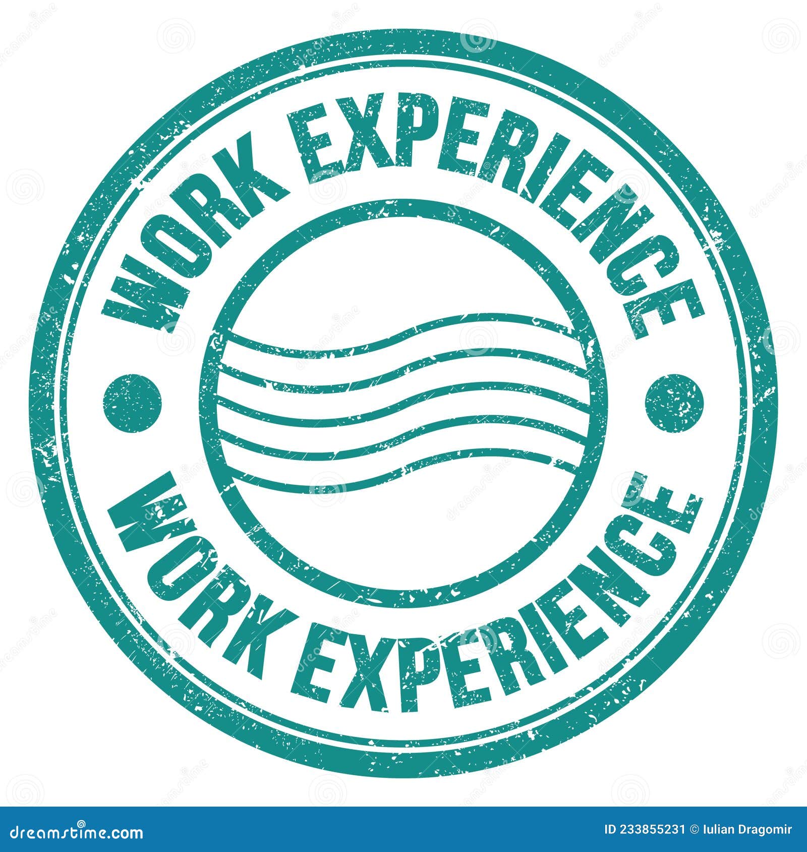 WORK EXPERIENCE Text Written on Blue Round Postal Stamp Sign Stock ...