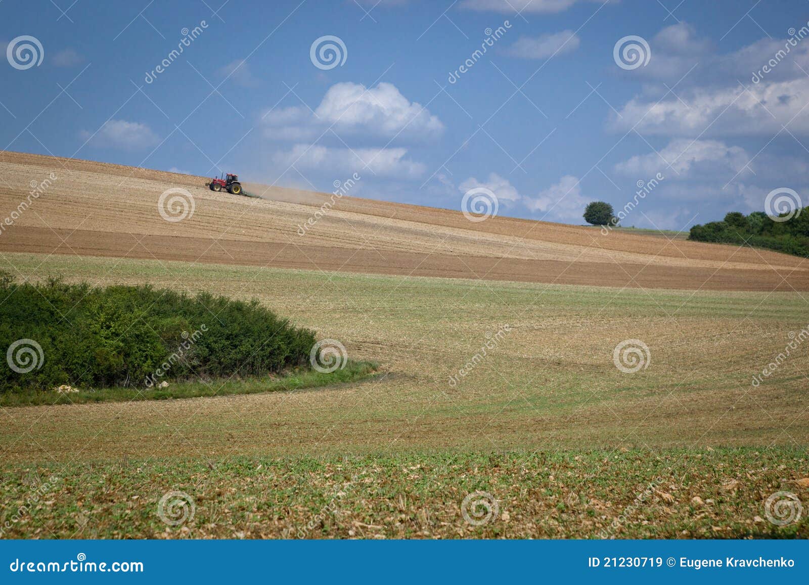 Work in the fields stock image. Image of yellow, agriculture - 21230719