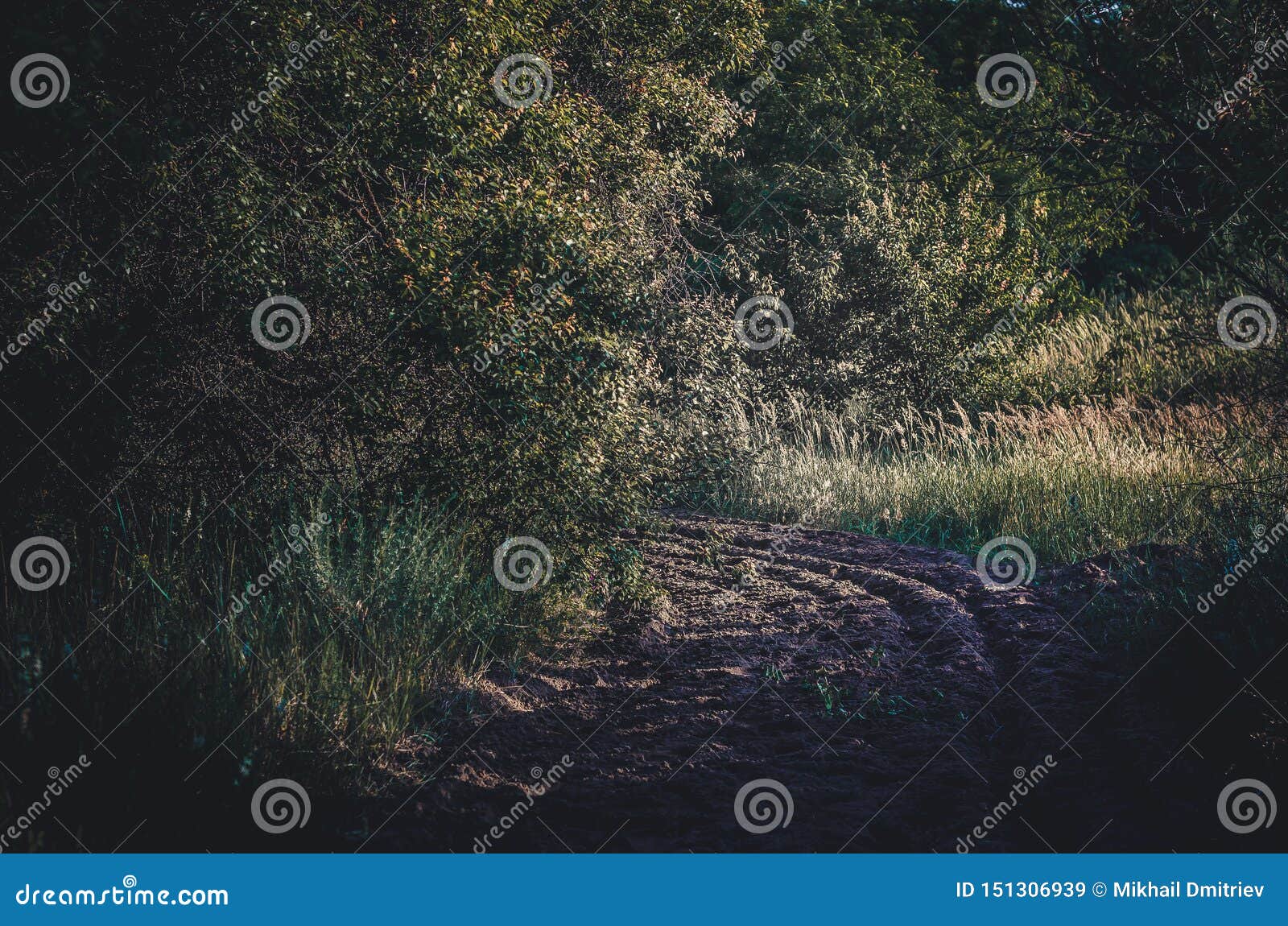 Fire Separation Buffer Strip in a National Reserve. Plow Sand for a ...