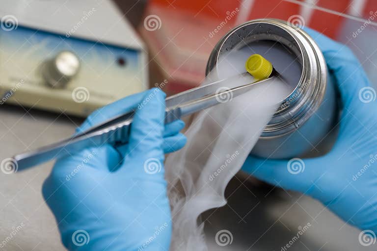 Work with Frozen Samples in Biological Laboratory Stock Photo - Image ...