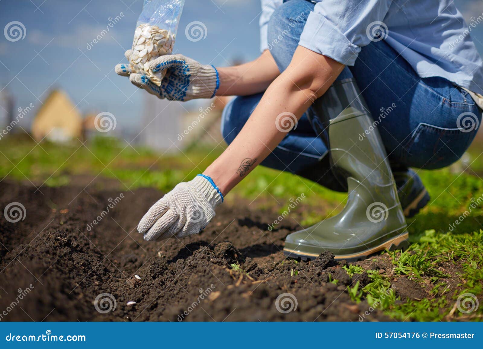 Work in the garden stock photo. Image of human, ground - 57054176