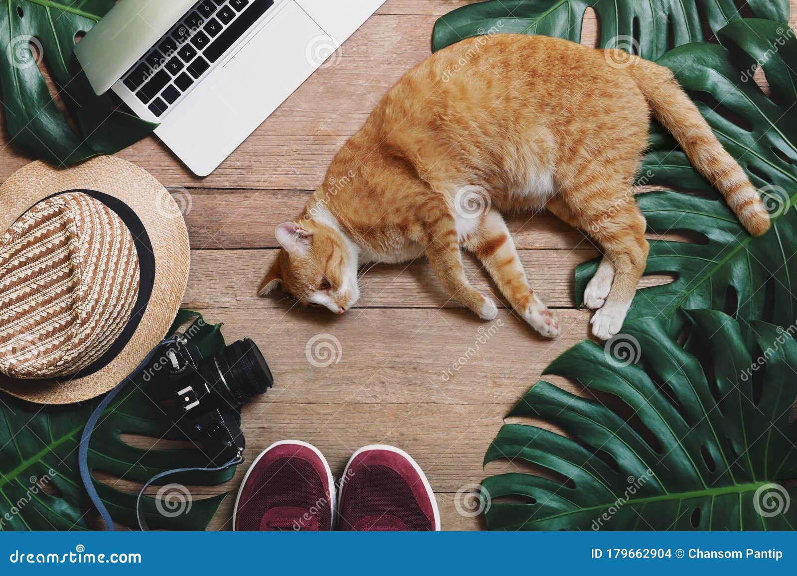 Work from Home Burnout, Remote Working and Work Life Balance Concepts ...