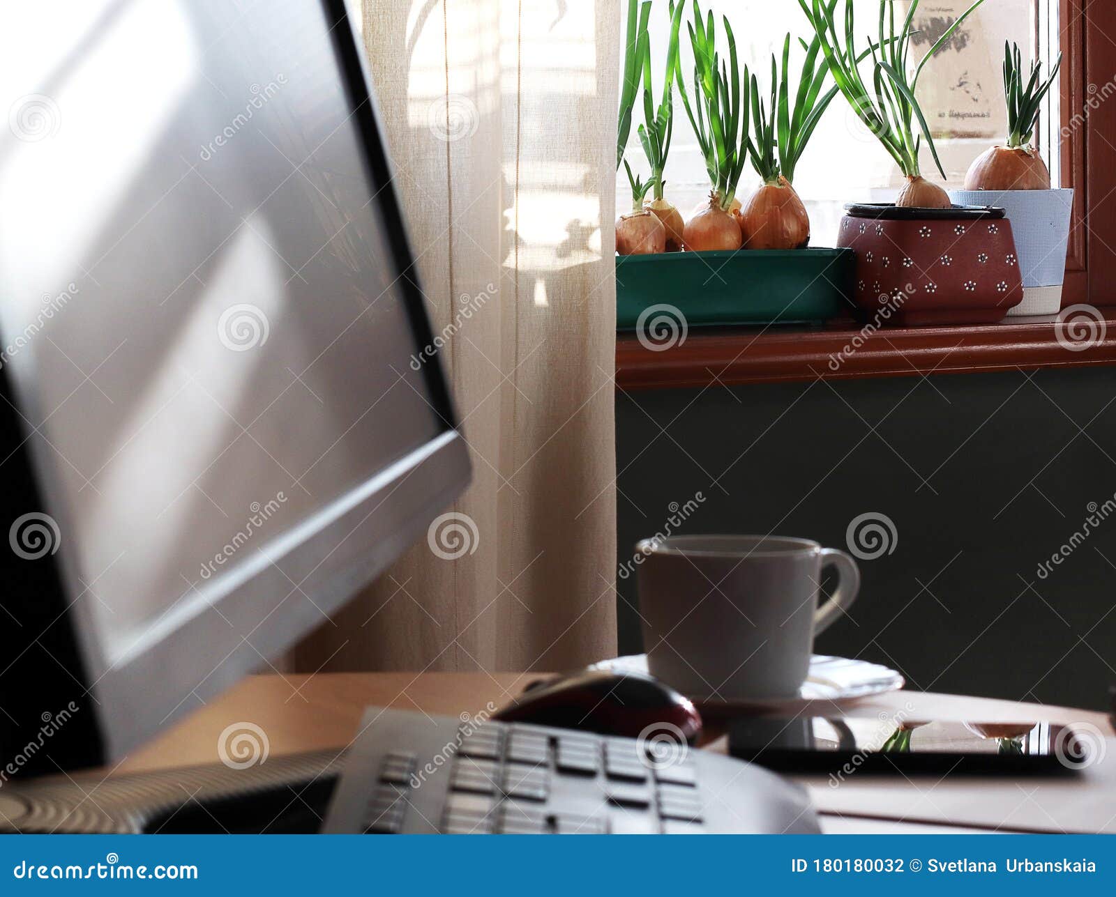 Work from Home. Kitchen Garden on the Windowsill. Workplace in the Home ...