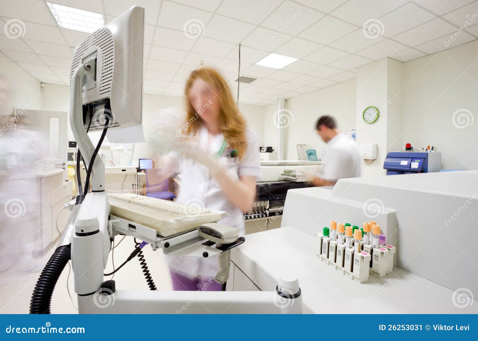 Work in laboratory stock image. Image of analysis, research - 26253031