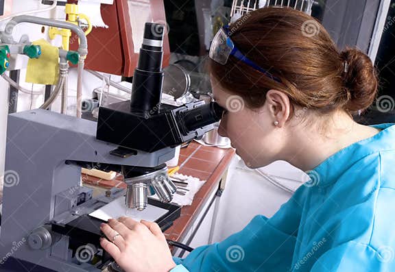 Work in the laboratory stock photo. Image of physician - 5205406