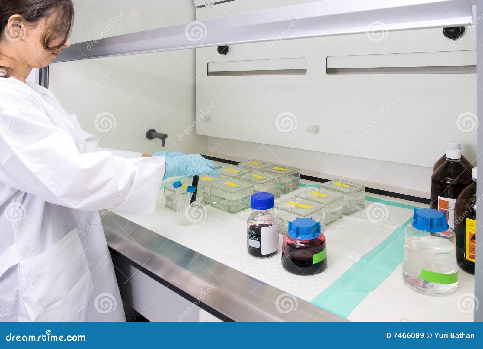 Work in laboratory stock image. Image of freeze, forensic - 7466089