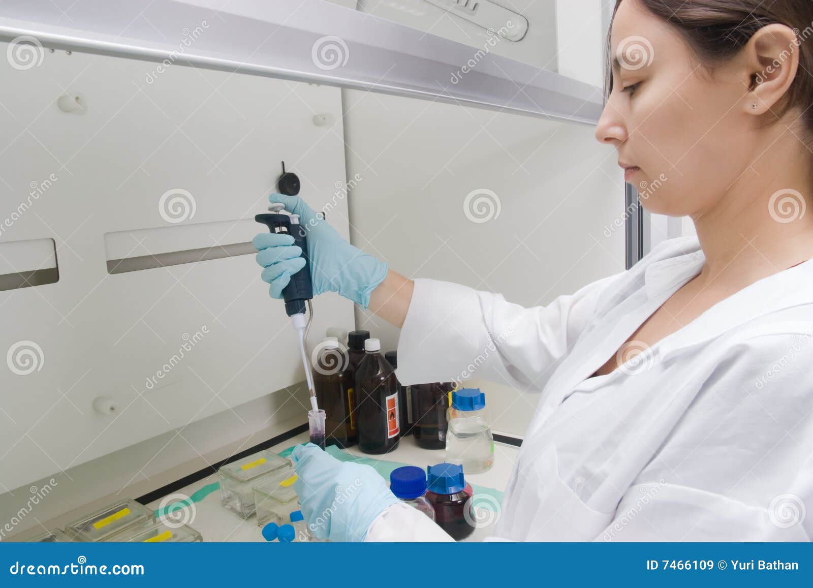 Work in laboratory stock image. Image of immunology, diversity - 7466109